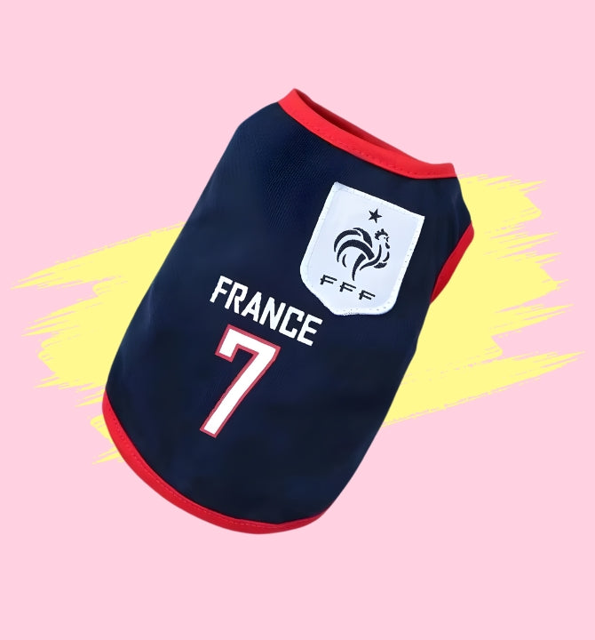 World Cup Jerseys For Dogs | Football-Themed Pet Clothing – Puffy Woof